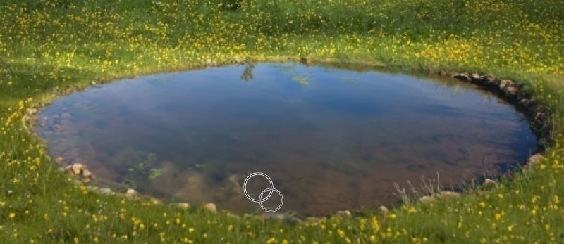 Gradient Blending - Blending Objects Using a Transparent Gradient - Image and Photo Touch-ups ...